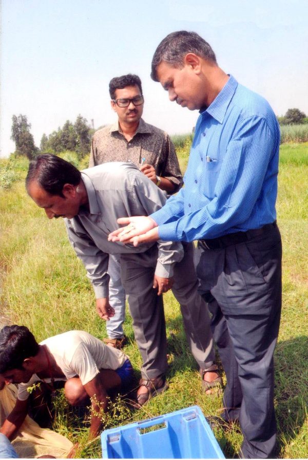 Sampling of fish seed to check the growth in pen culture spot ...