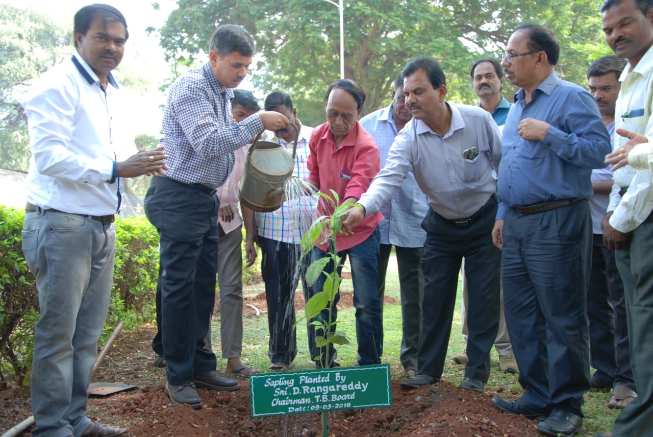 Sampling-planted-by-Shri.D.Ranga-Reddy-Chairman-TB-Board – TUNGABHADRA ...